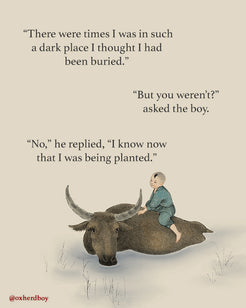 The Oxherd Boy | Planted not Buried